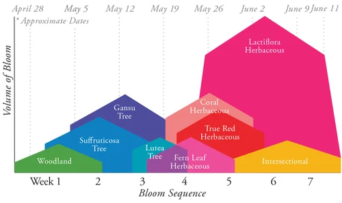 Garden Design and Peony Planting — Peony's Envy