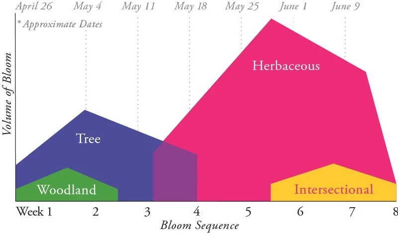 Visit Our Peony Display Garden: View thousands of peonies in bloom in ...