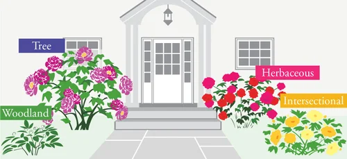 Garden Design and Peony Planting — Peony's Envy
