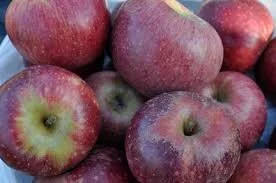 Durham Apple Orchard - Heirloom Apples — Many Rivers Farm