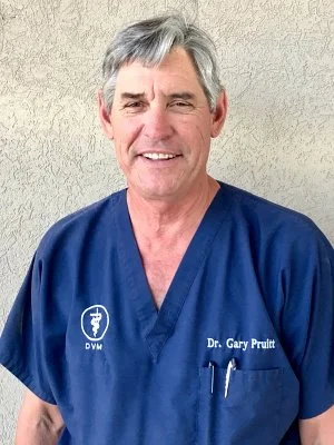 About | Learn More Today — Texas Equine Veterinary Association