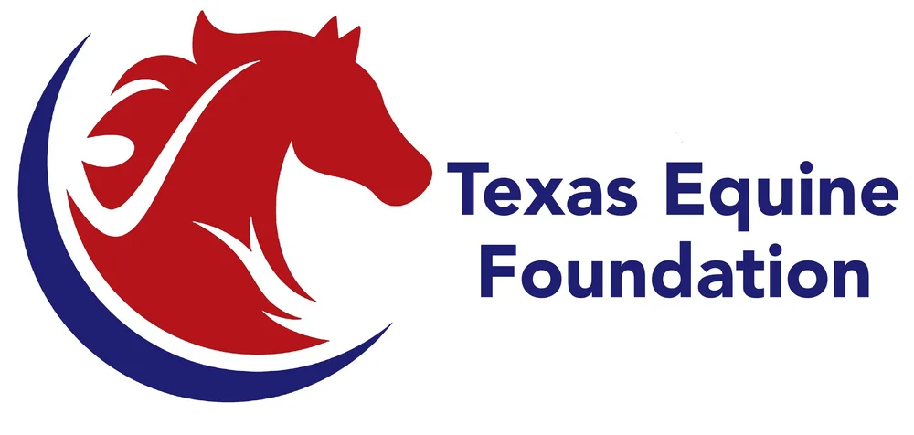 Texas Equine Foundation | Support Equine Welfare Today — Texas Equine ...