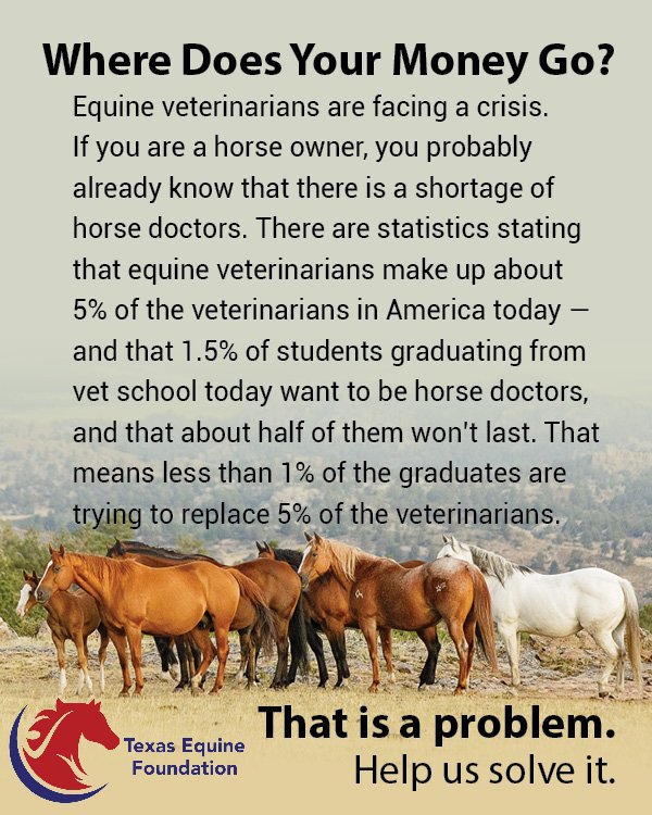 Texas Equine Foundation | Support Equine Welfare Today — Texas Equine ...