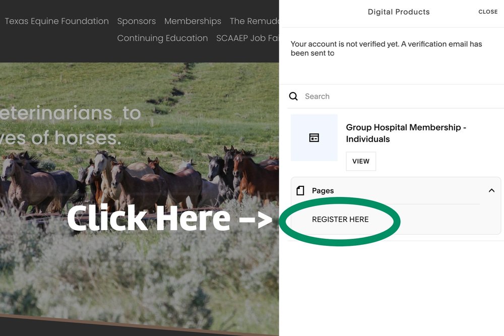 Continuing Education — Texas Equine Veterinary Association
