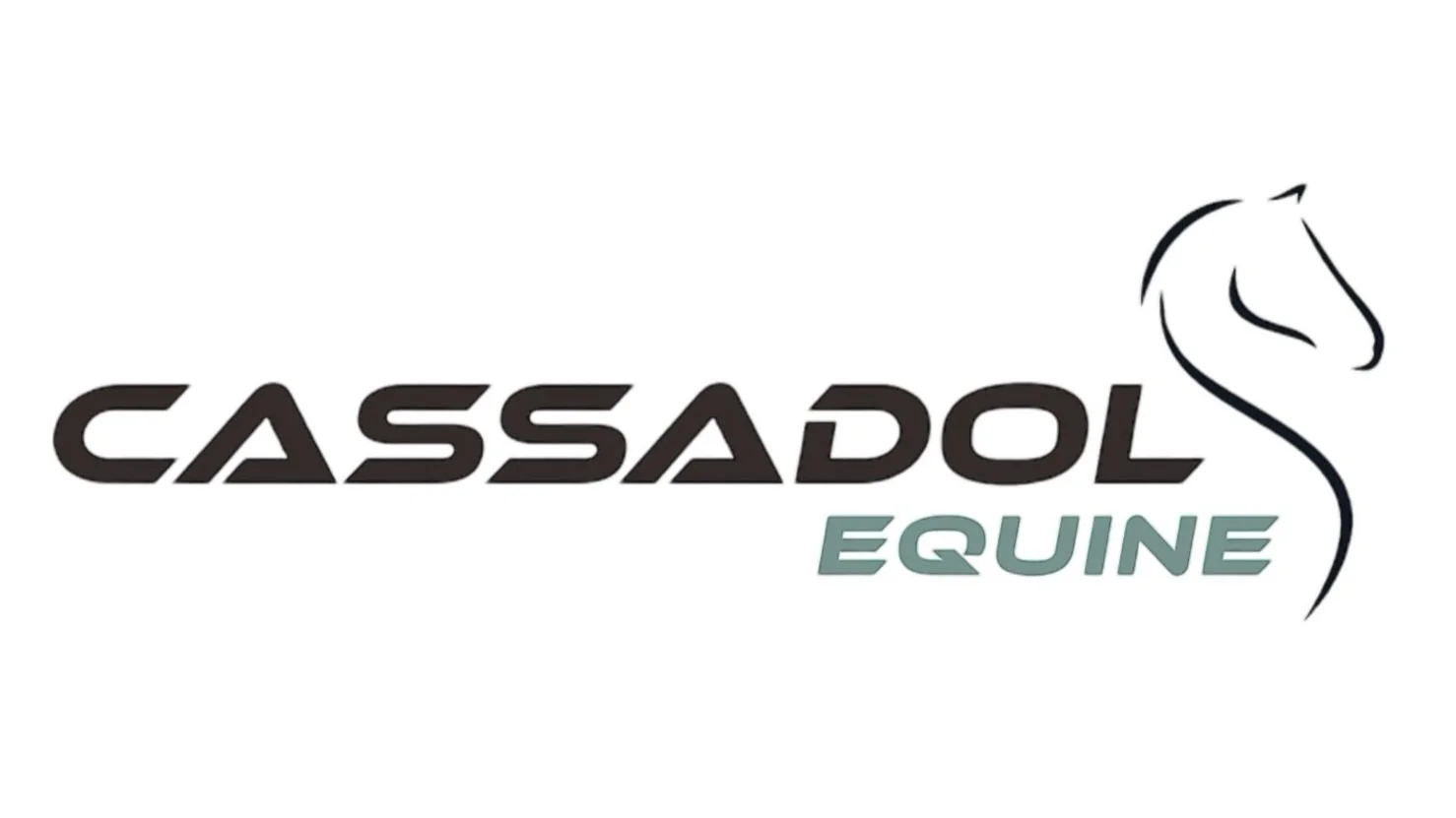 Sponsors — Texas Equine Veterinary Association