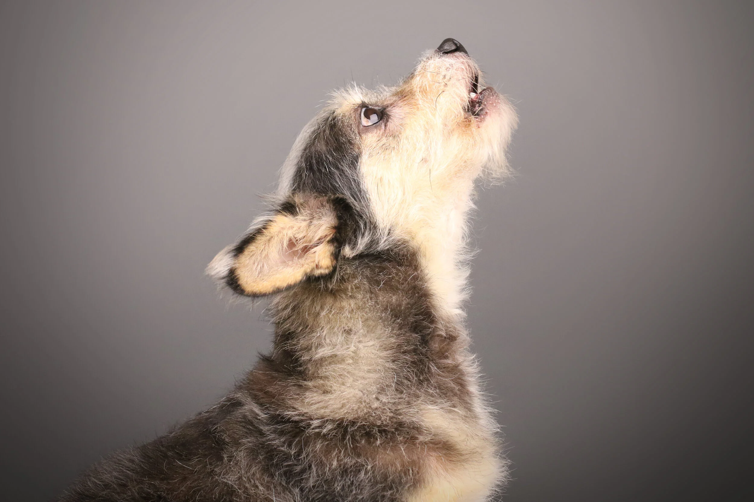 Team 1 — MKM Contract