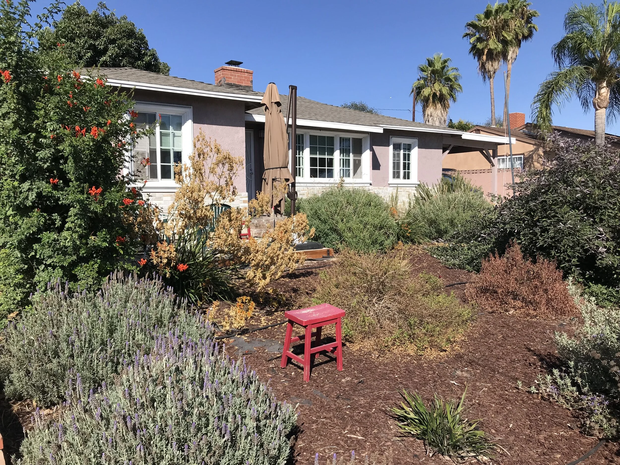 Our History — Orchard Community