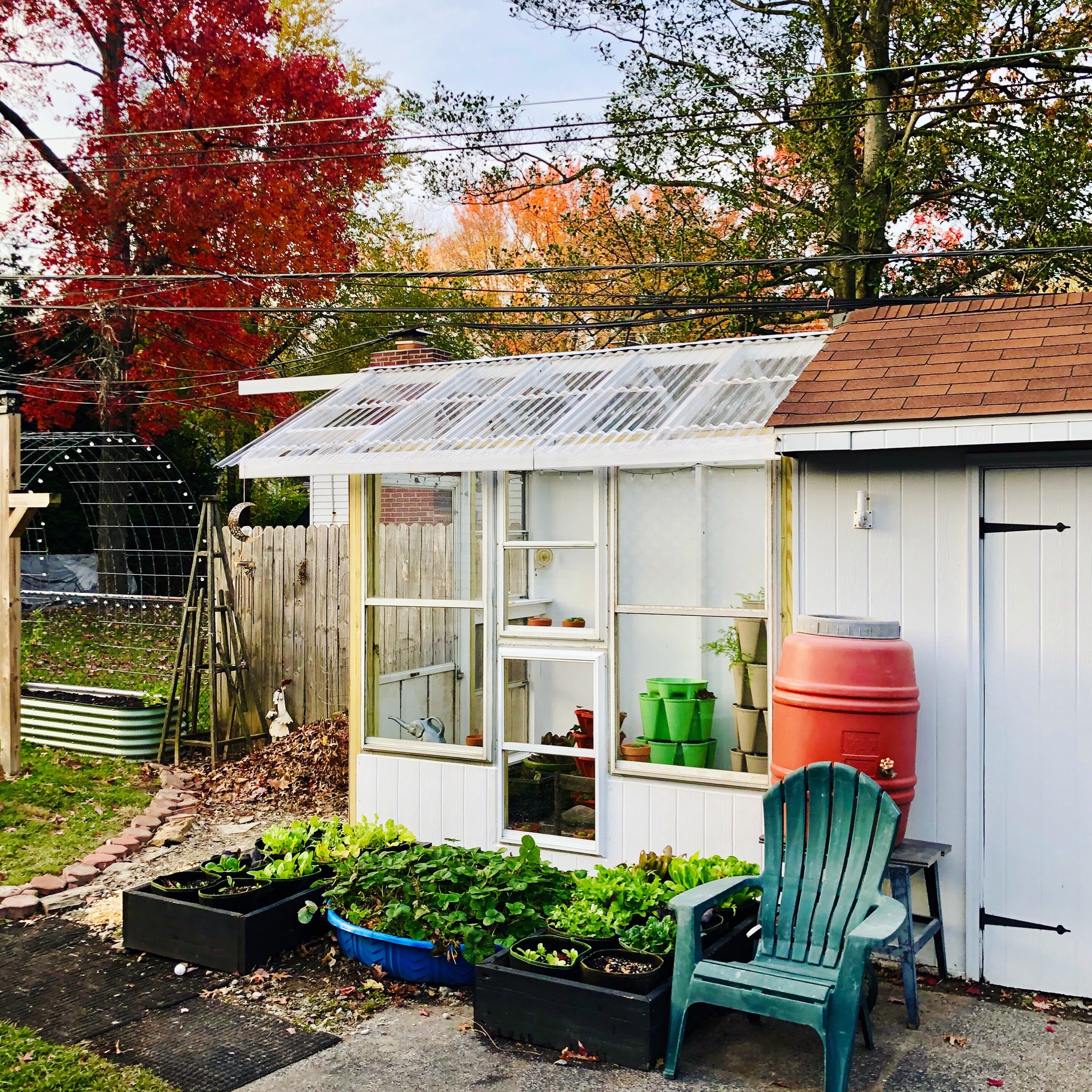 Container Gardening: The Easiest Way to Grow — Sowing in Suburbia
