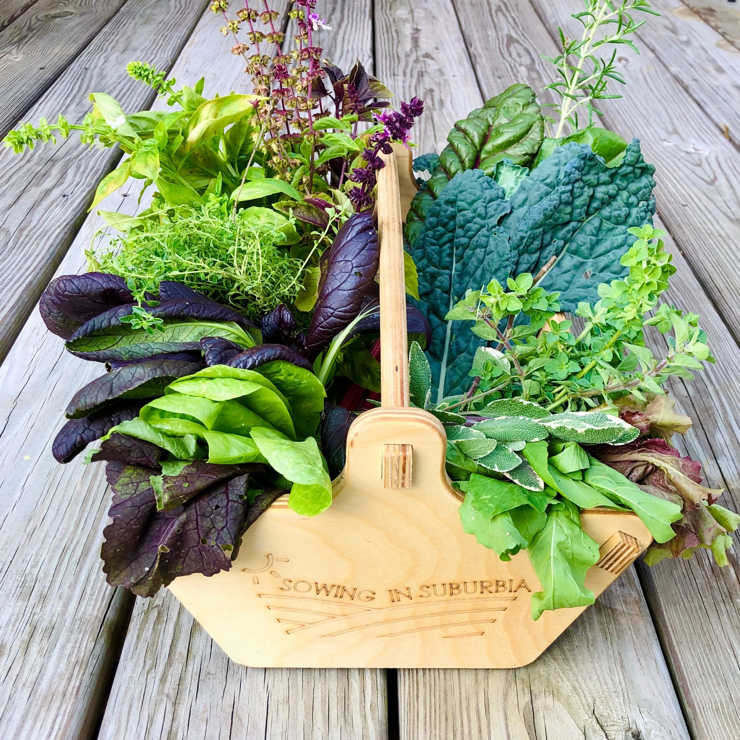 Presents for Plant Lovers: 25 Gardening Gifts They’ll Dig — Sowing in ...
