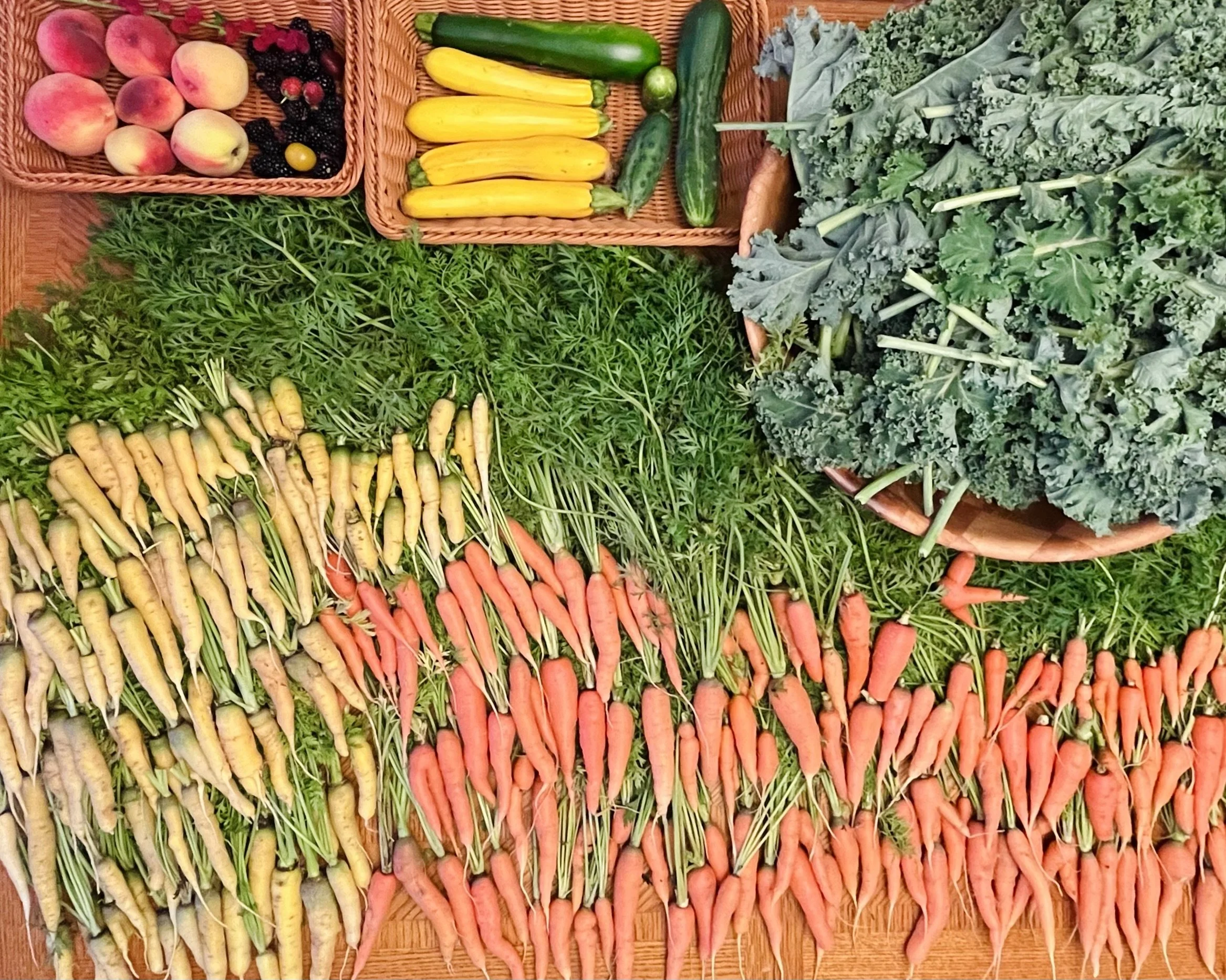 How to Grow Carrots: Easy Guide for Sweet & Crunchy Harvests — Sowing ...