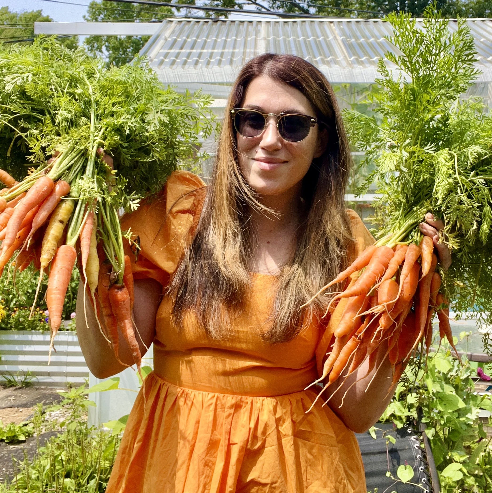How to Grow Carrots: Easy Guide for Sweet & Crunchy Harvests — Sowing ...