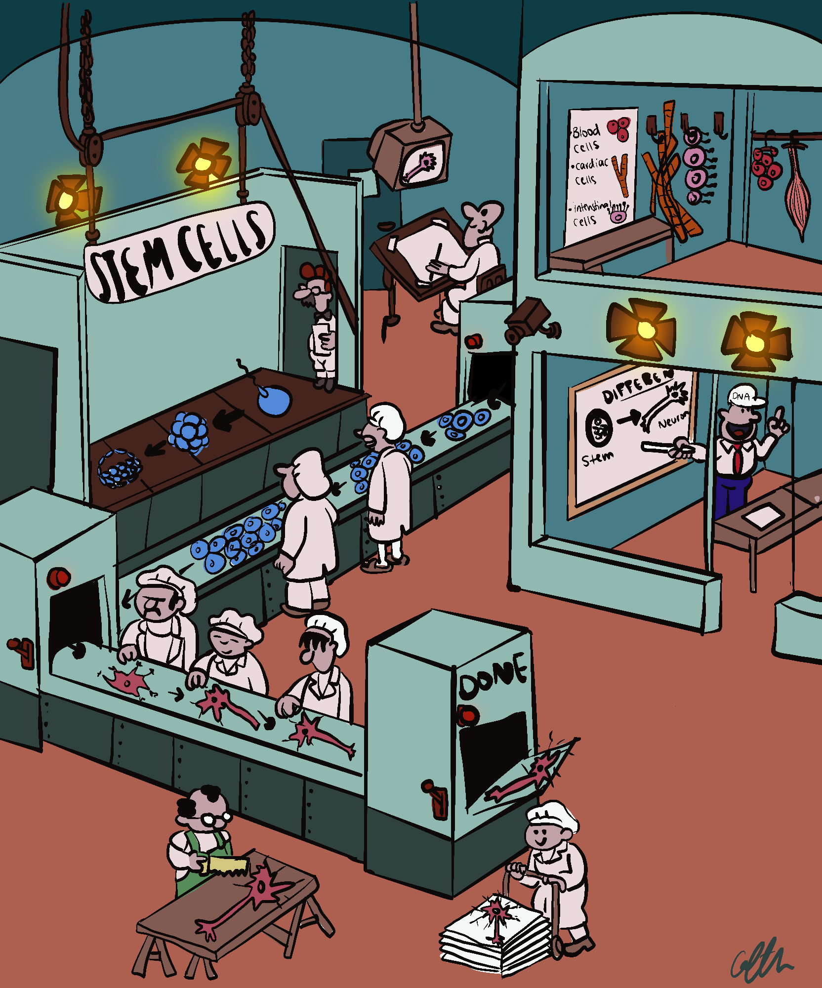 Grey Matters @ Temple University