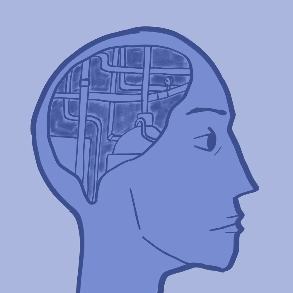 Wired for Crime? How Brain Differences Shape Criminal Behavior ...