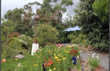 Gardens — Australian Plants Society Tasmania inc
