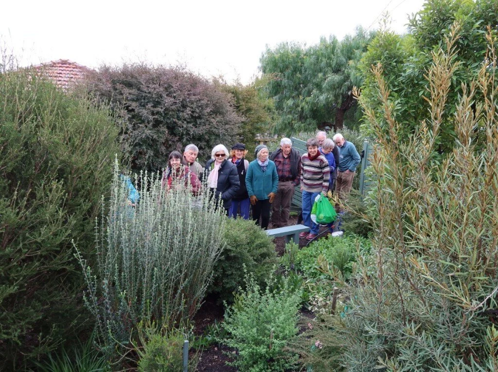 Hobart | Explore Native Plants Today — Australian Plants Society ...