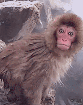 Five MONKEY Songs from the 1980s — The 80s and 90s