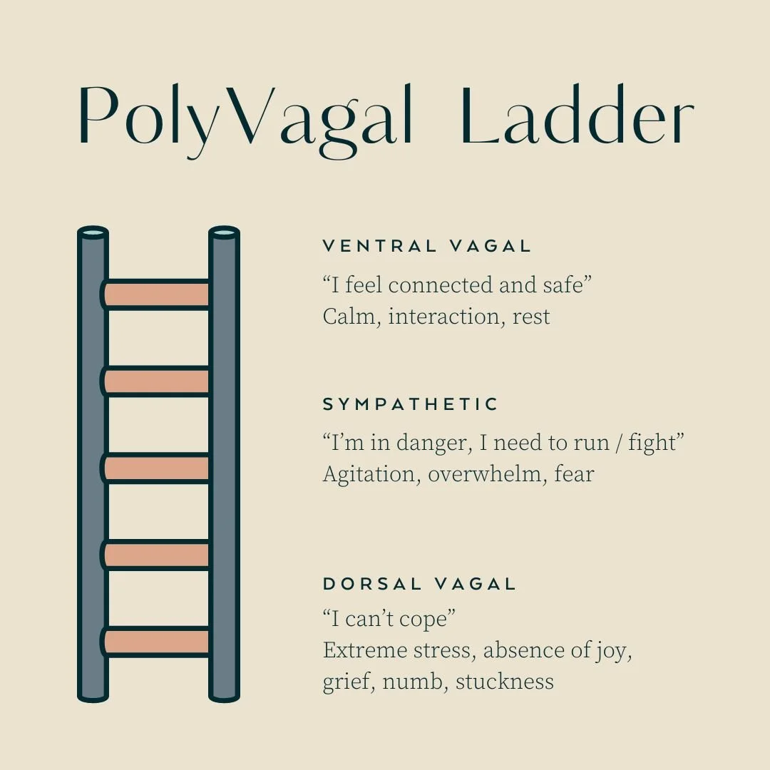 Polyvagal Theory, our nervous system and the importance of regulation.