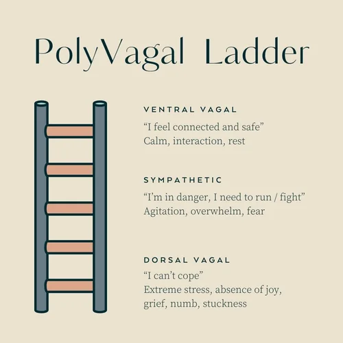 What is Polyvagal Theory with Autonomic Ladder?