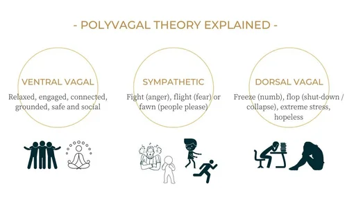 Polyvagal Theory, our nervous system and the importance of regulation.