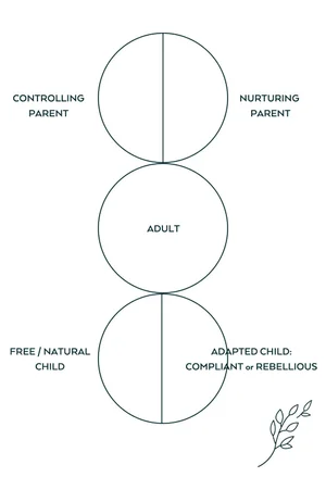What is the Parent Adult Child Model (PAC) model in TA?