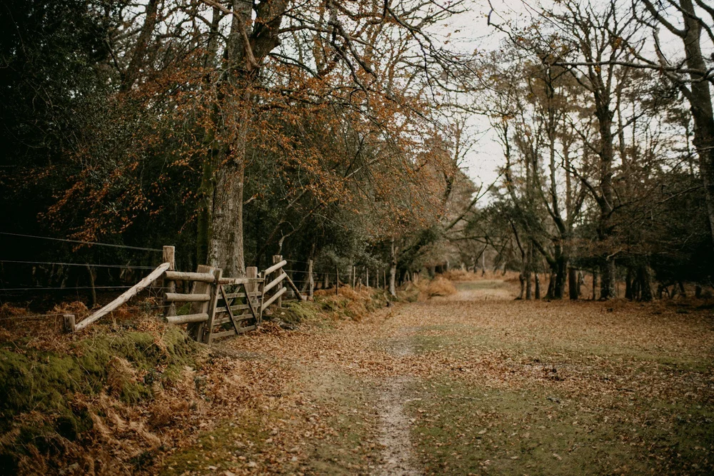 List of human needs from Non-Violent Communication (free pdf)