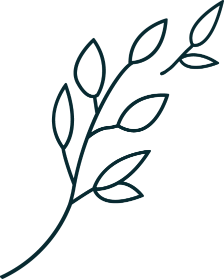 Life Script Transactional Analysis (TA) - Rewrite your story