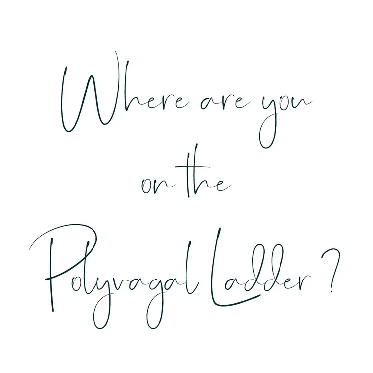 What is Polyvagal Theory with Autonomic Ladder?
