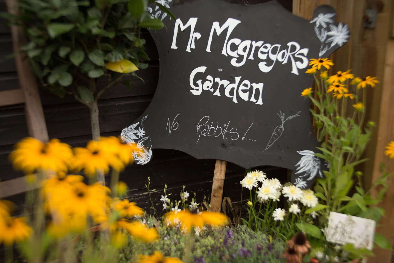 Discover the story behind our cozy New Forest Cafe – About Us — The ...