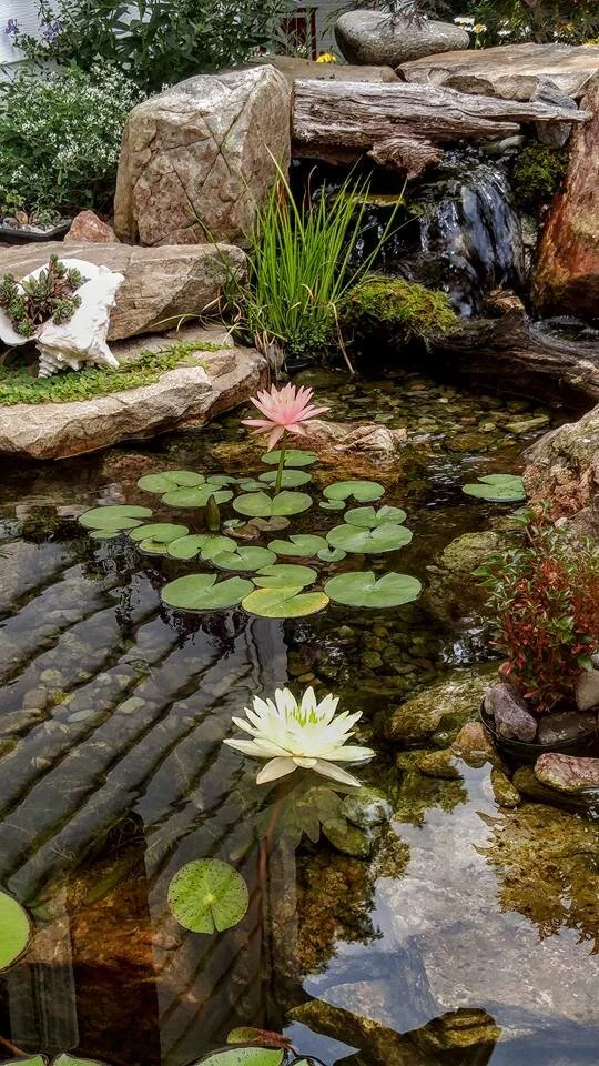 Carolina Pondscapes Inc