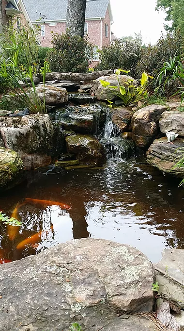 Carolina Pondscapes Inc