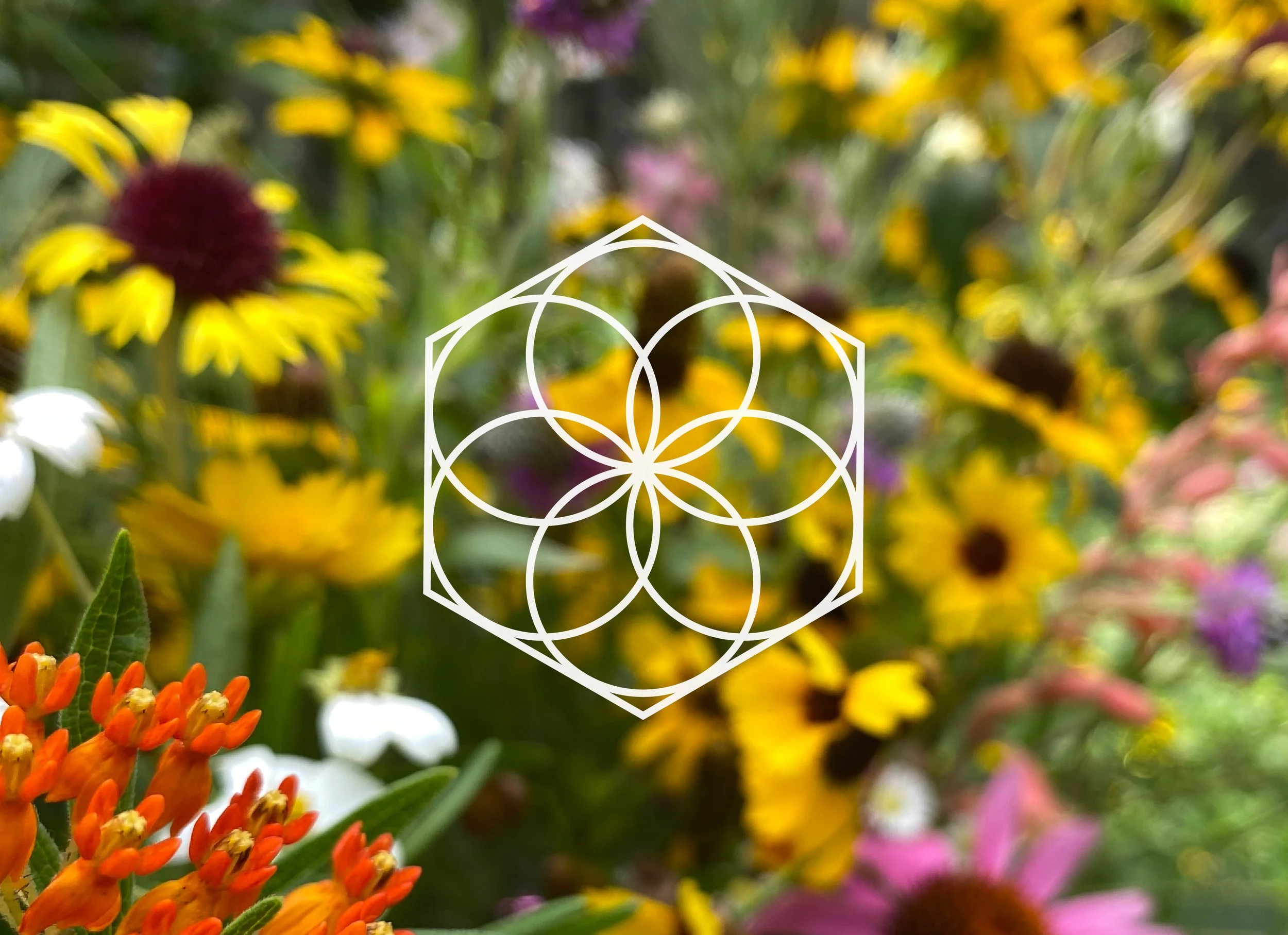 Oklahoma Wildflower Market