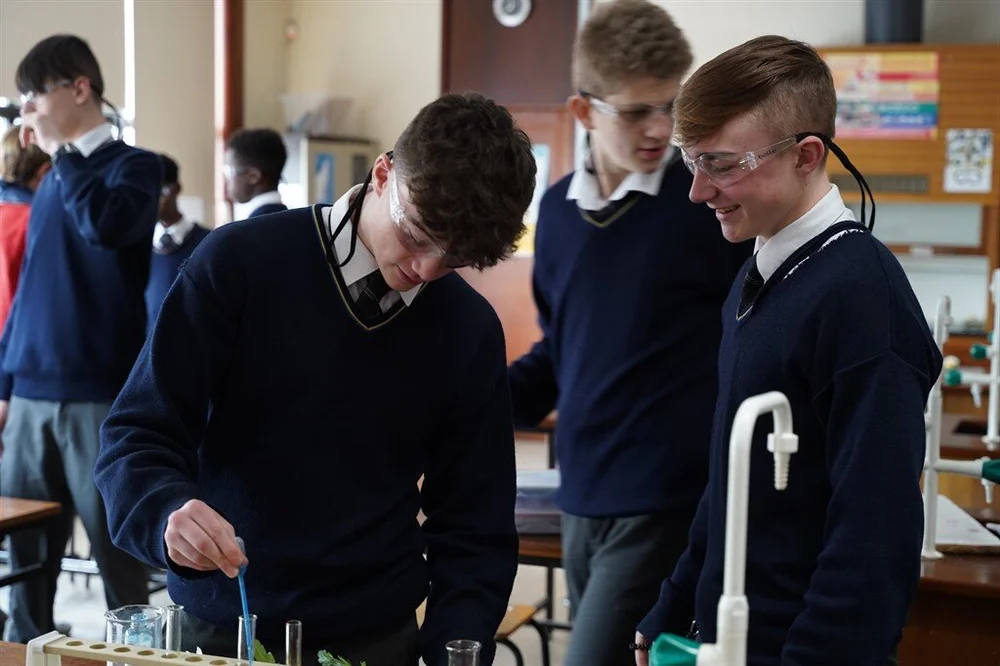 Our School — DCS Cork