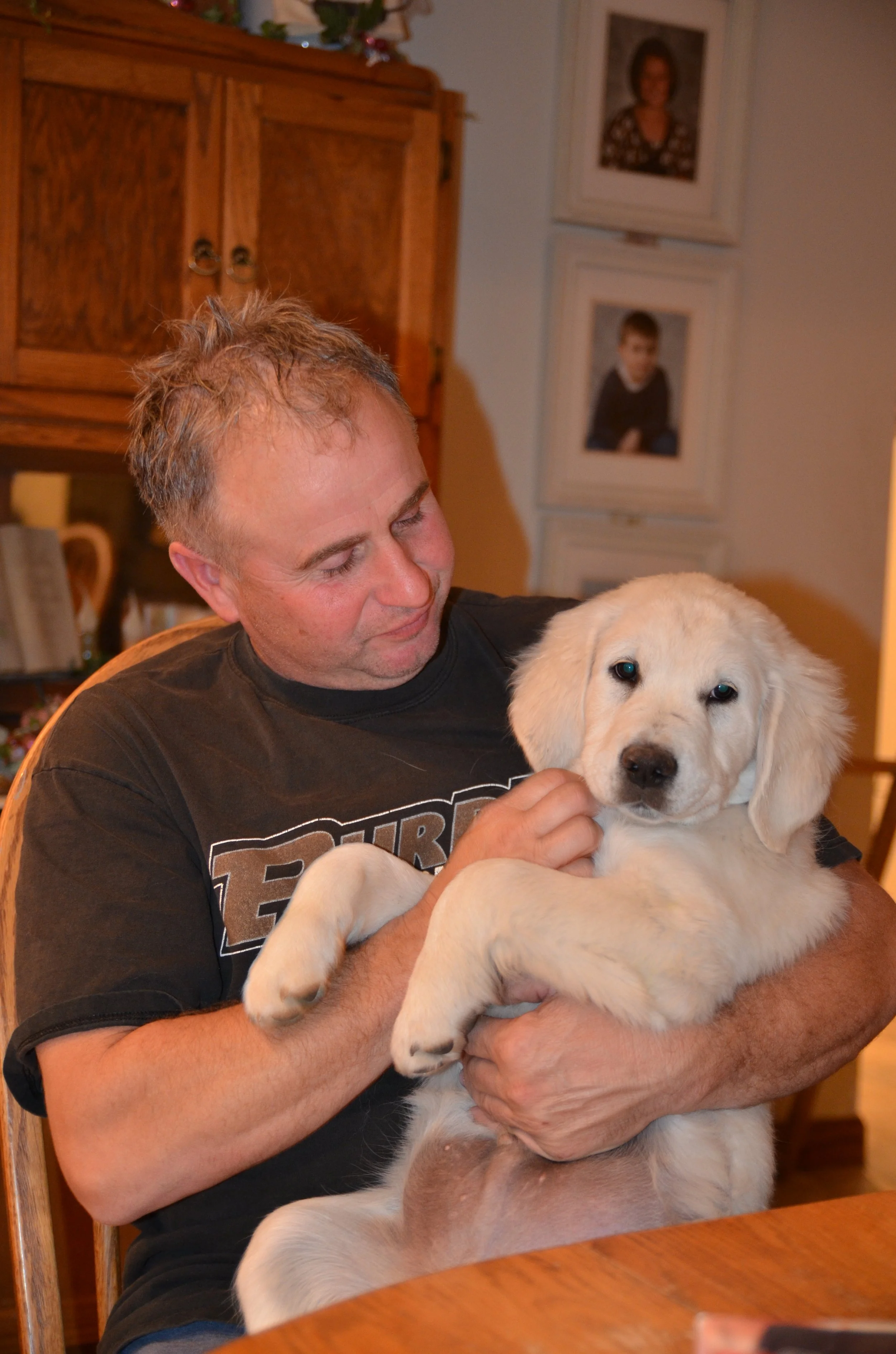 Meet Us — Royal Golden Retrievers