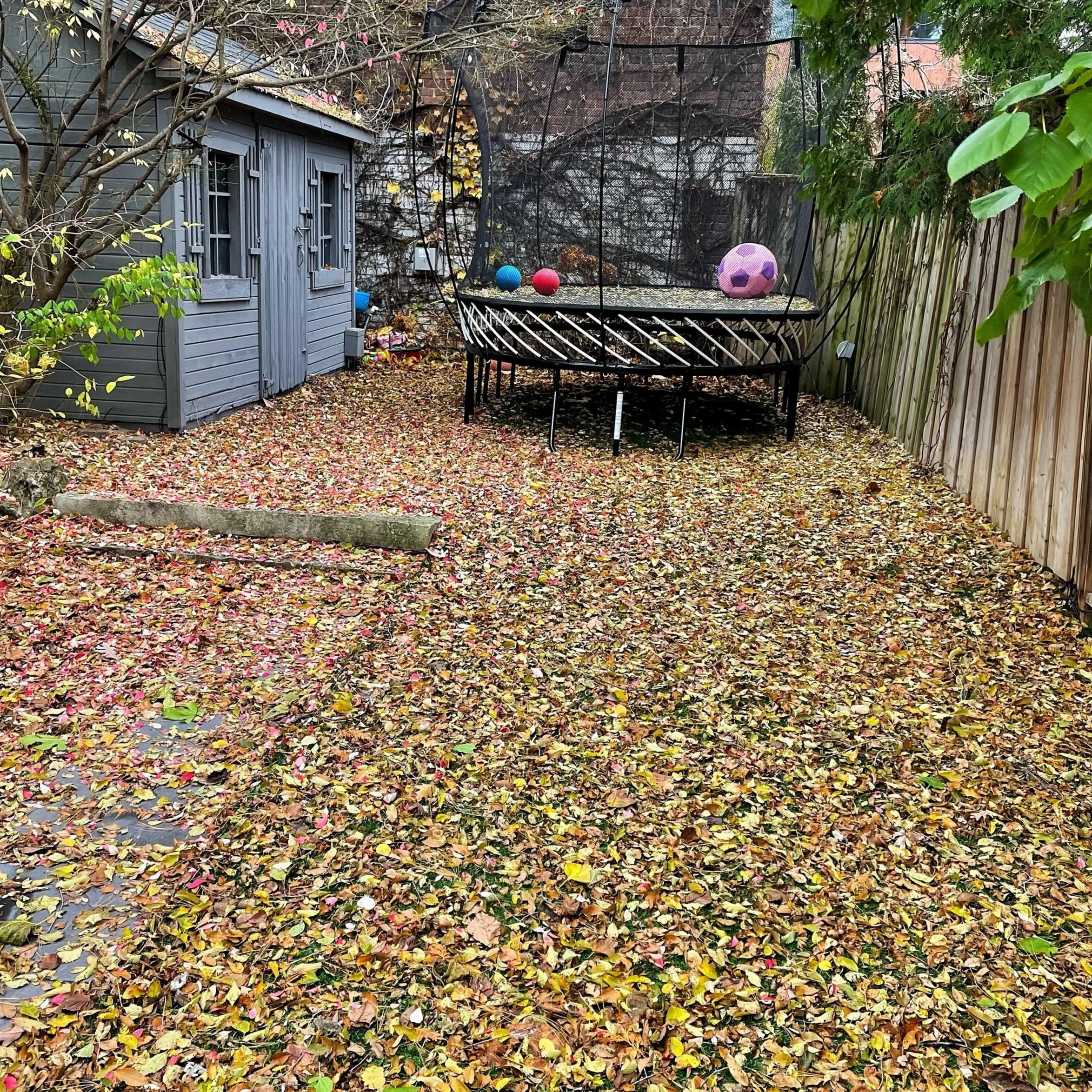 Yard Clean Up Service Toronto & GTA | Spring & Fall | Synsix