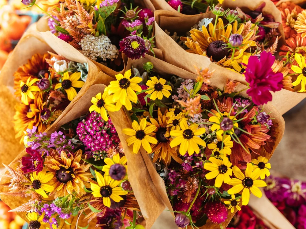 Bumbleroot Organic Farm