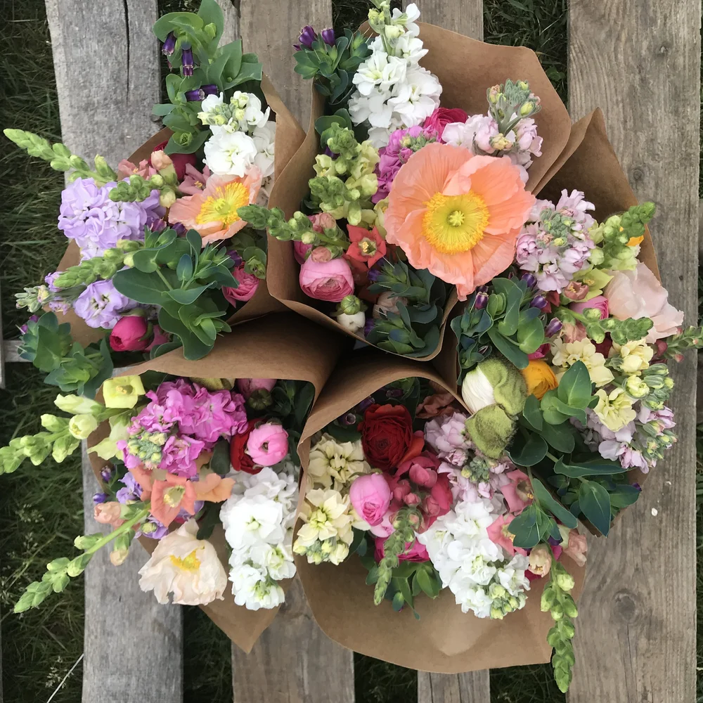 Organic Flower CSA — Bumbleroot Organic Farm