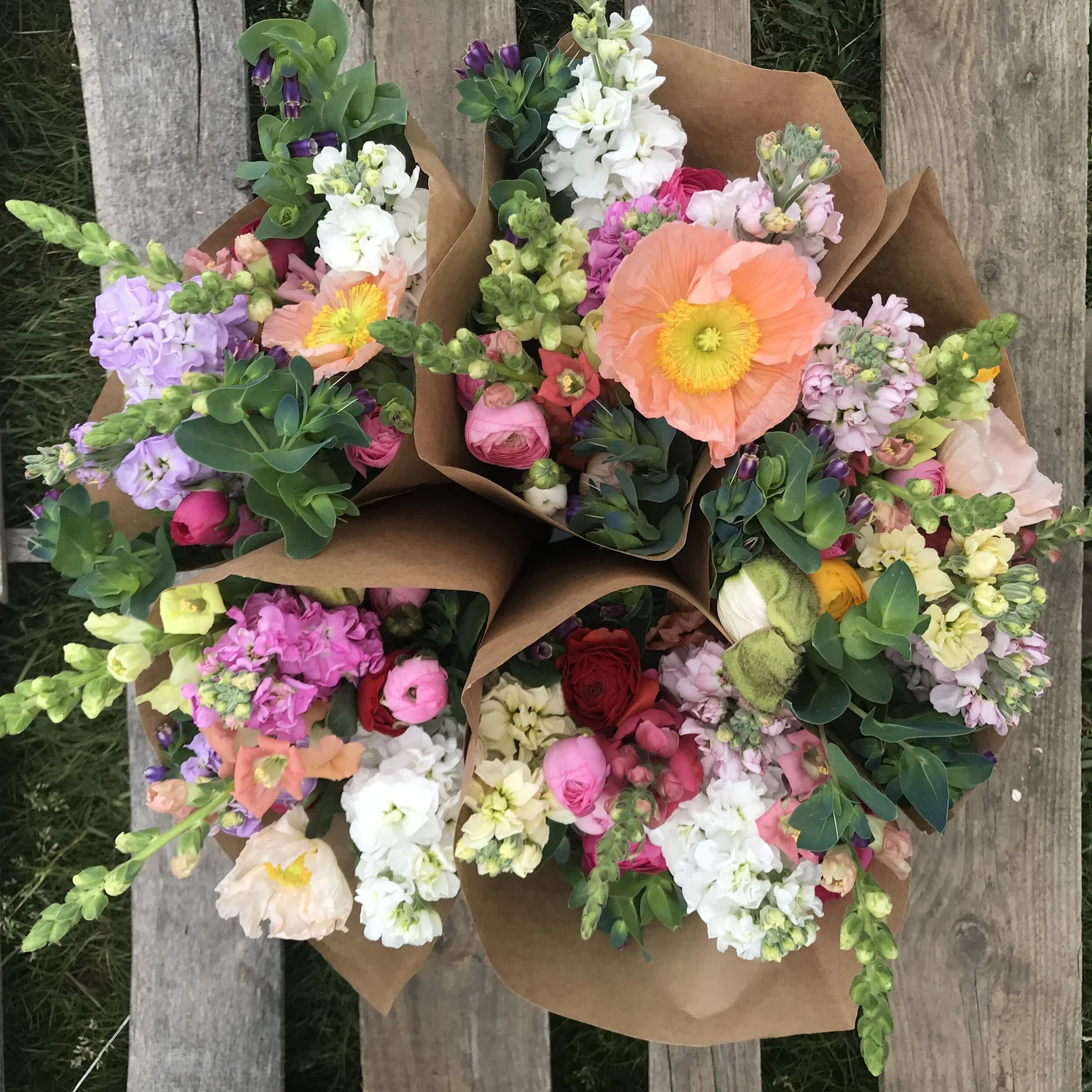 Organic Flower CSA — Bumbleroot Organic Farm