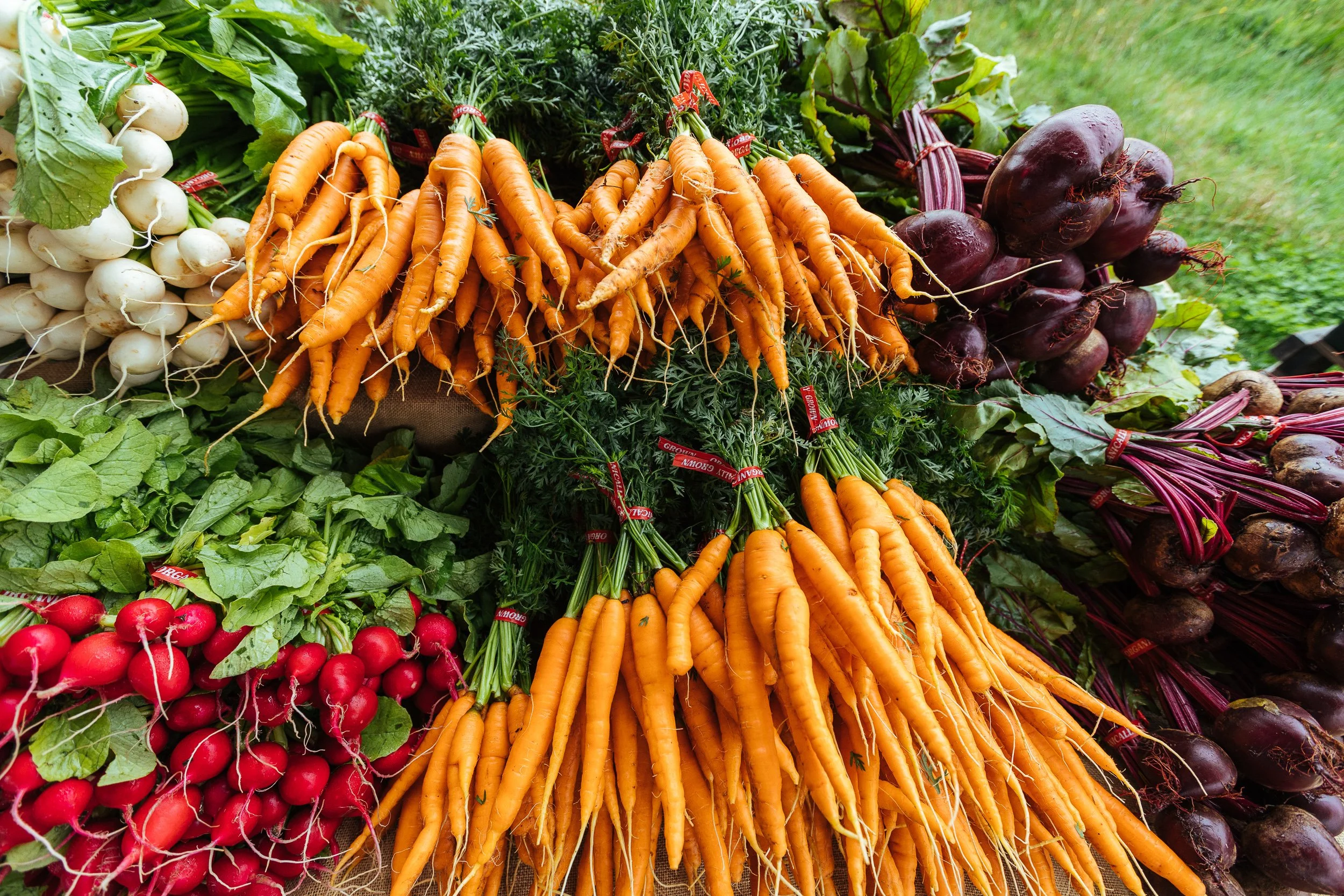 Bumbleroot Organic Farm