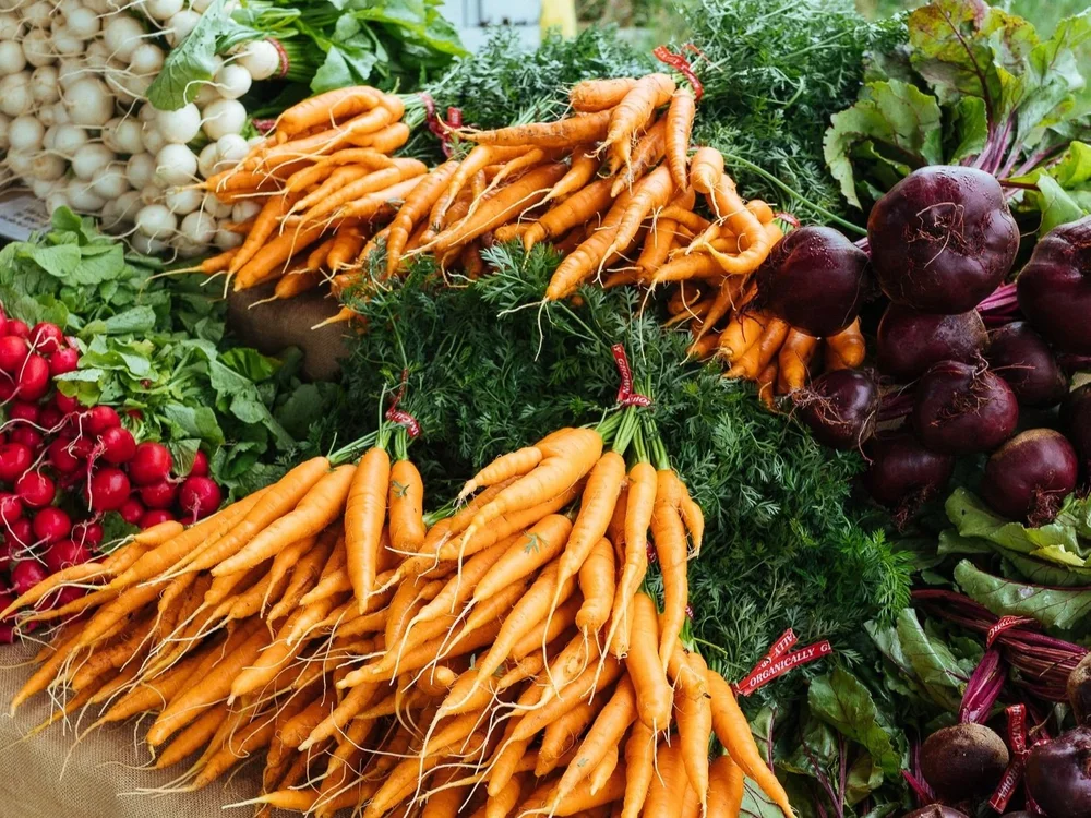 Bumbleroot Organic Farm