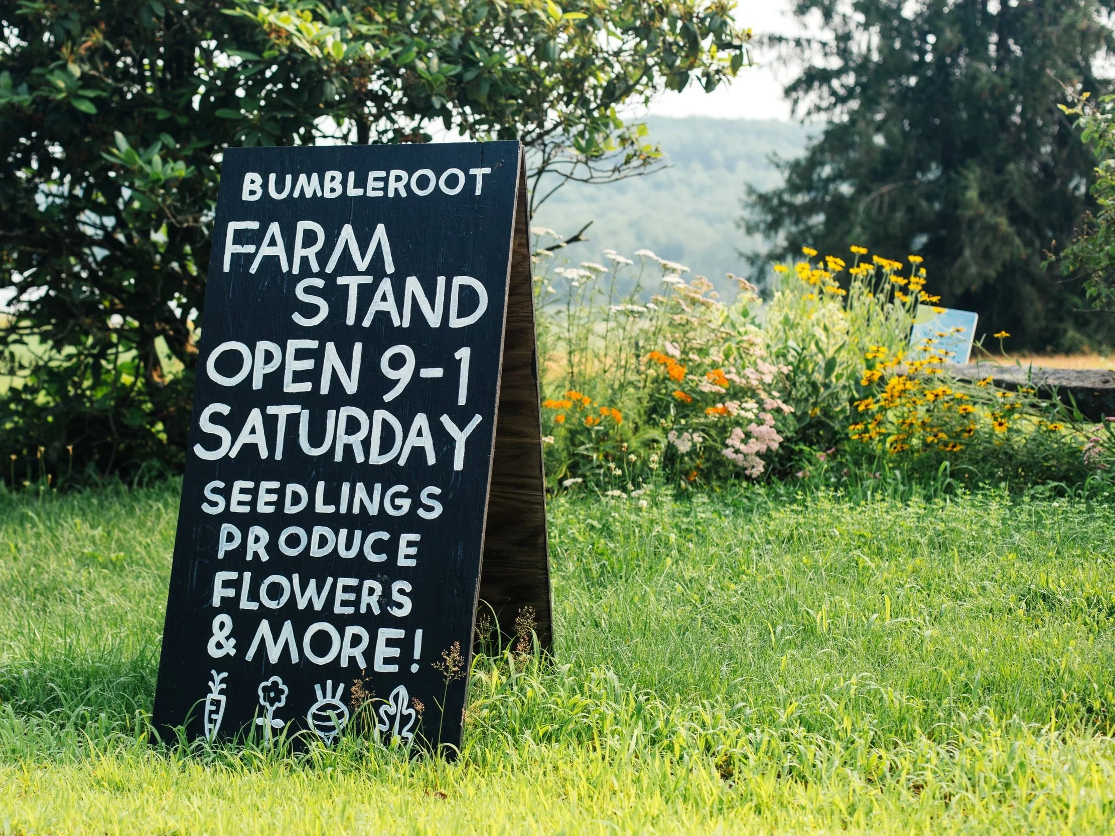 Bumbleroot Organic Farm