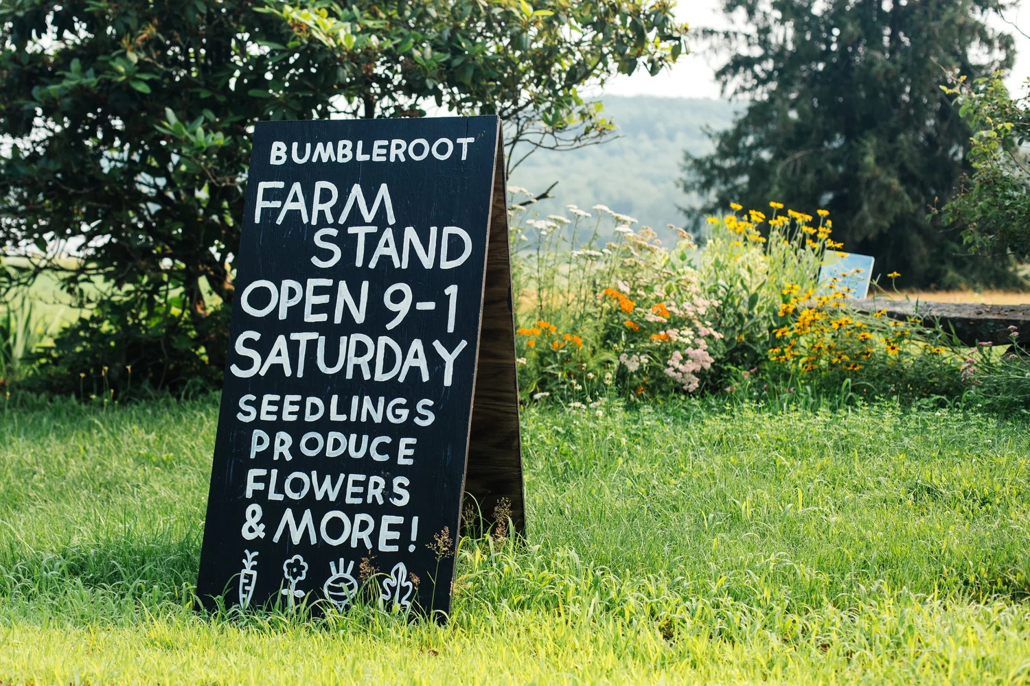 Market Membership — Bumbleroot Organic Farm