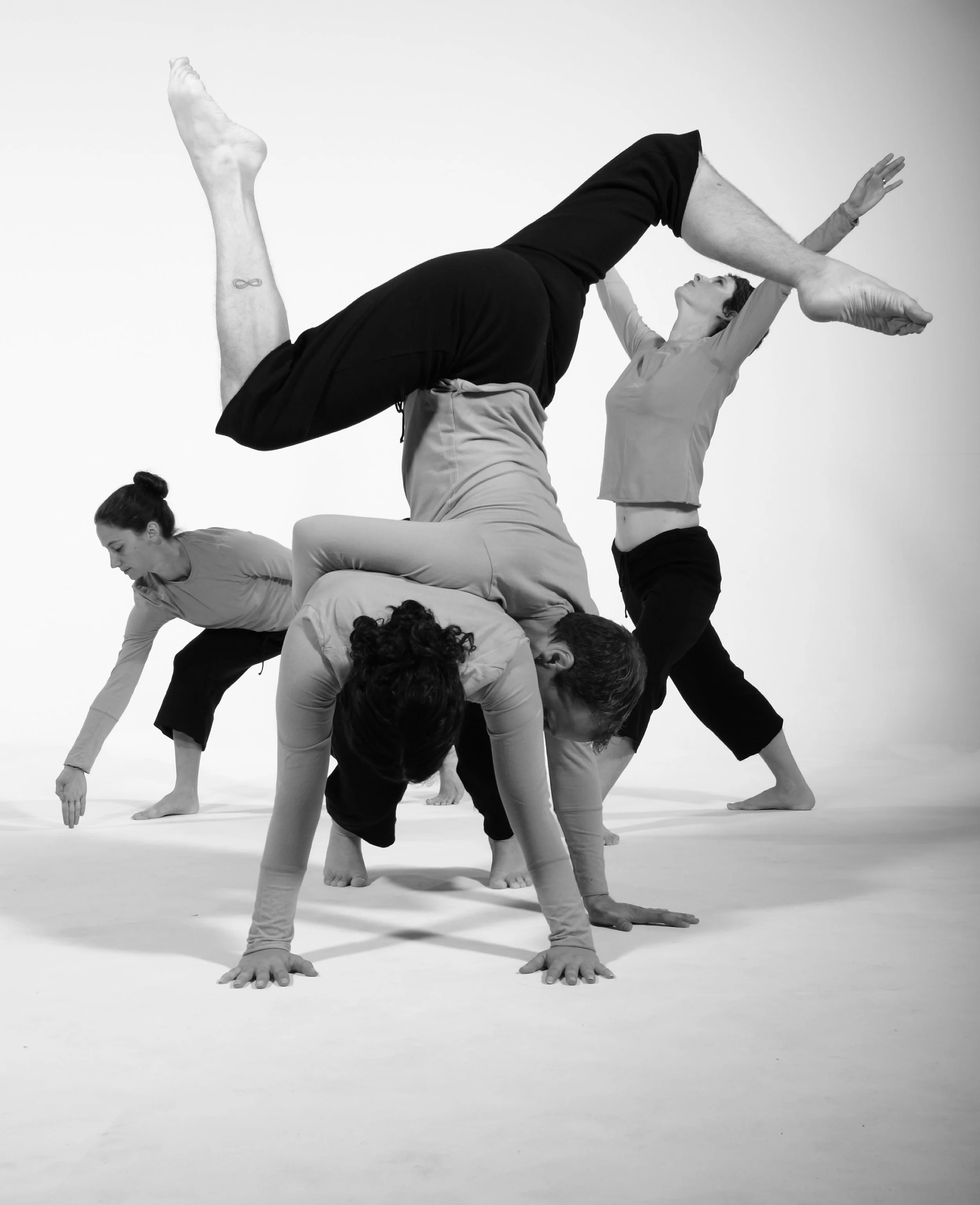 Professional Modern Dancers