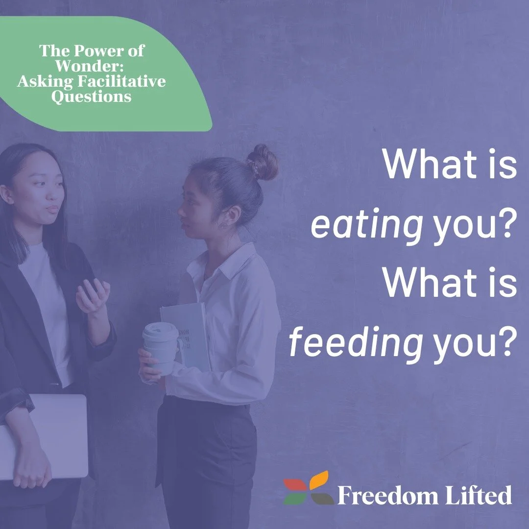 5 Questions to Ask that Go Beyond Diversity and Inclusion — Freedom Lifted