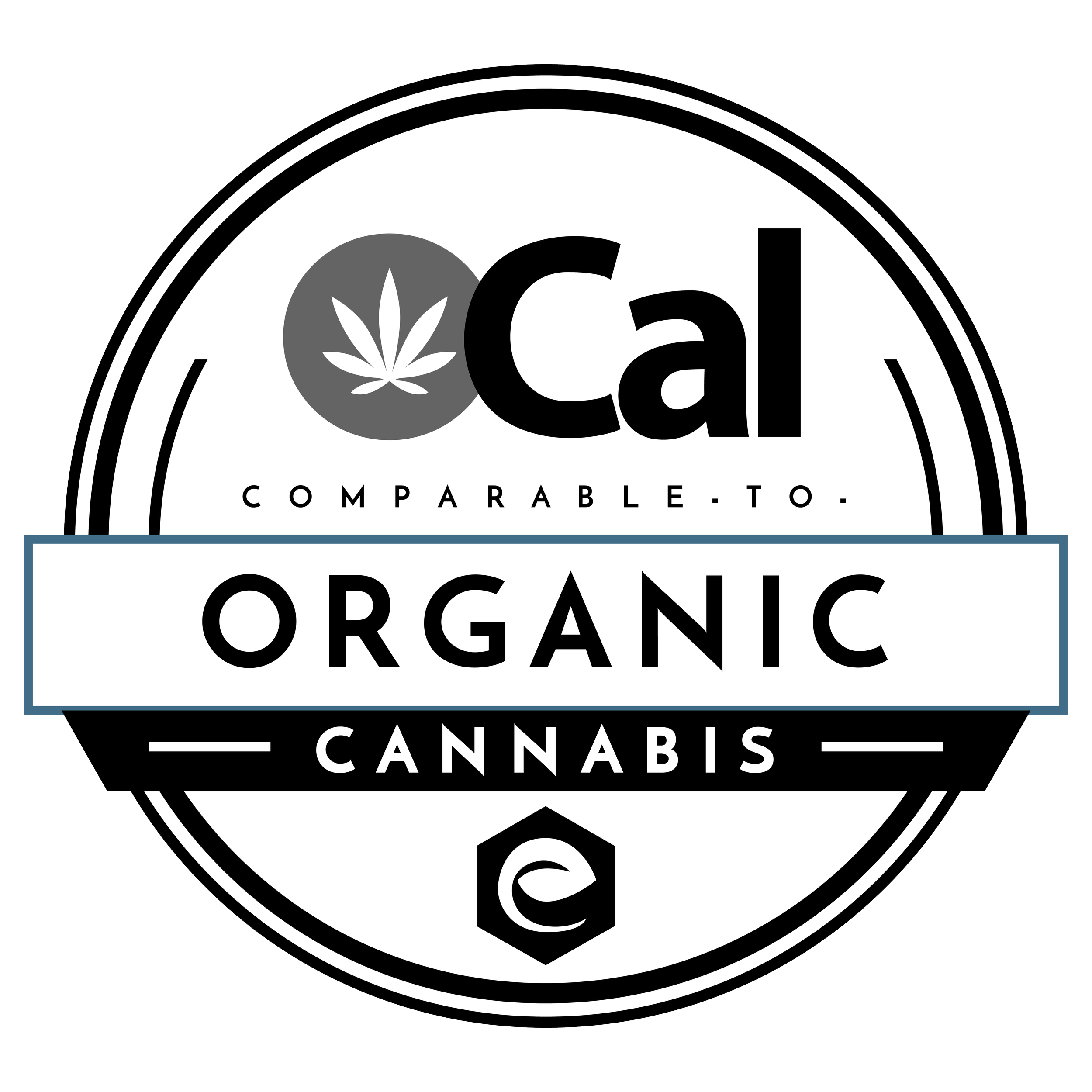 What is Regenerative Farming? — Whitethorn Valley Farm