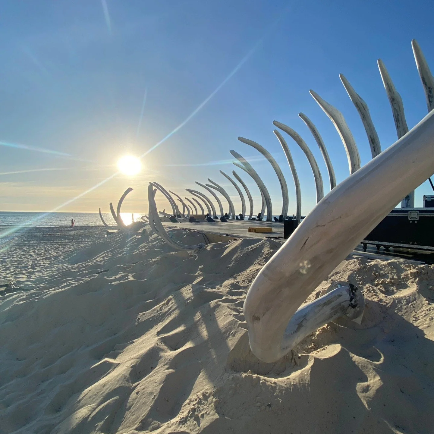 Whale Bones 3D Sculpture | Custom Fabrication and Set Building for ...