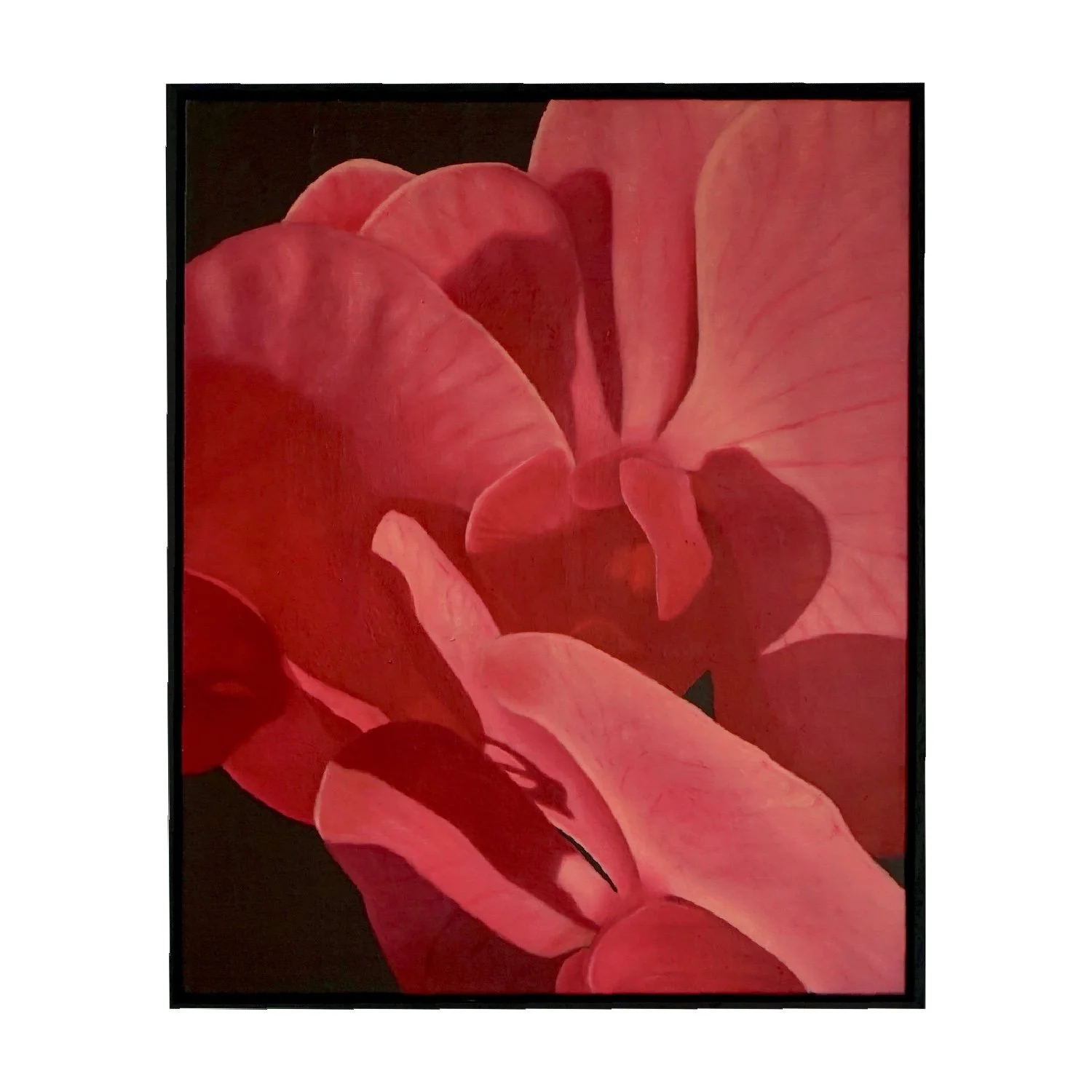 The Flower Series — Natalie Popovski | Artist