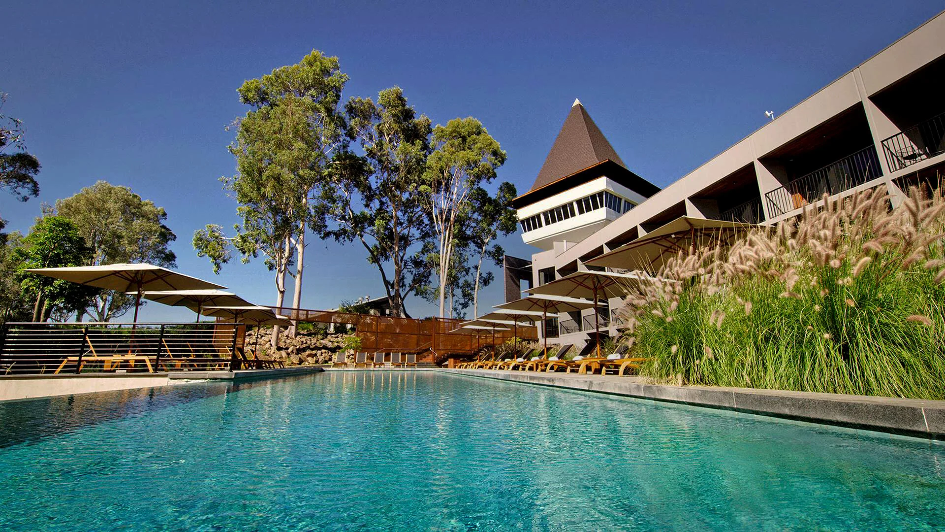 Go Stay — GoNagambie