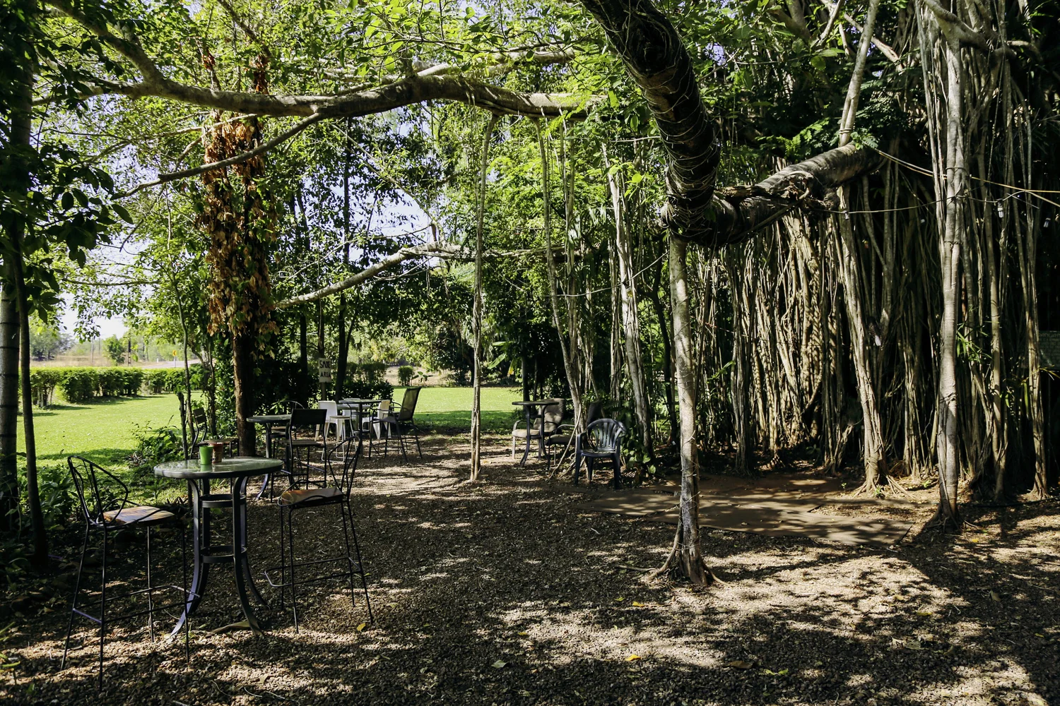 contact-us-banyan-tree-resort