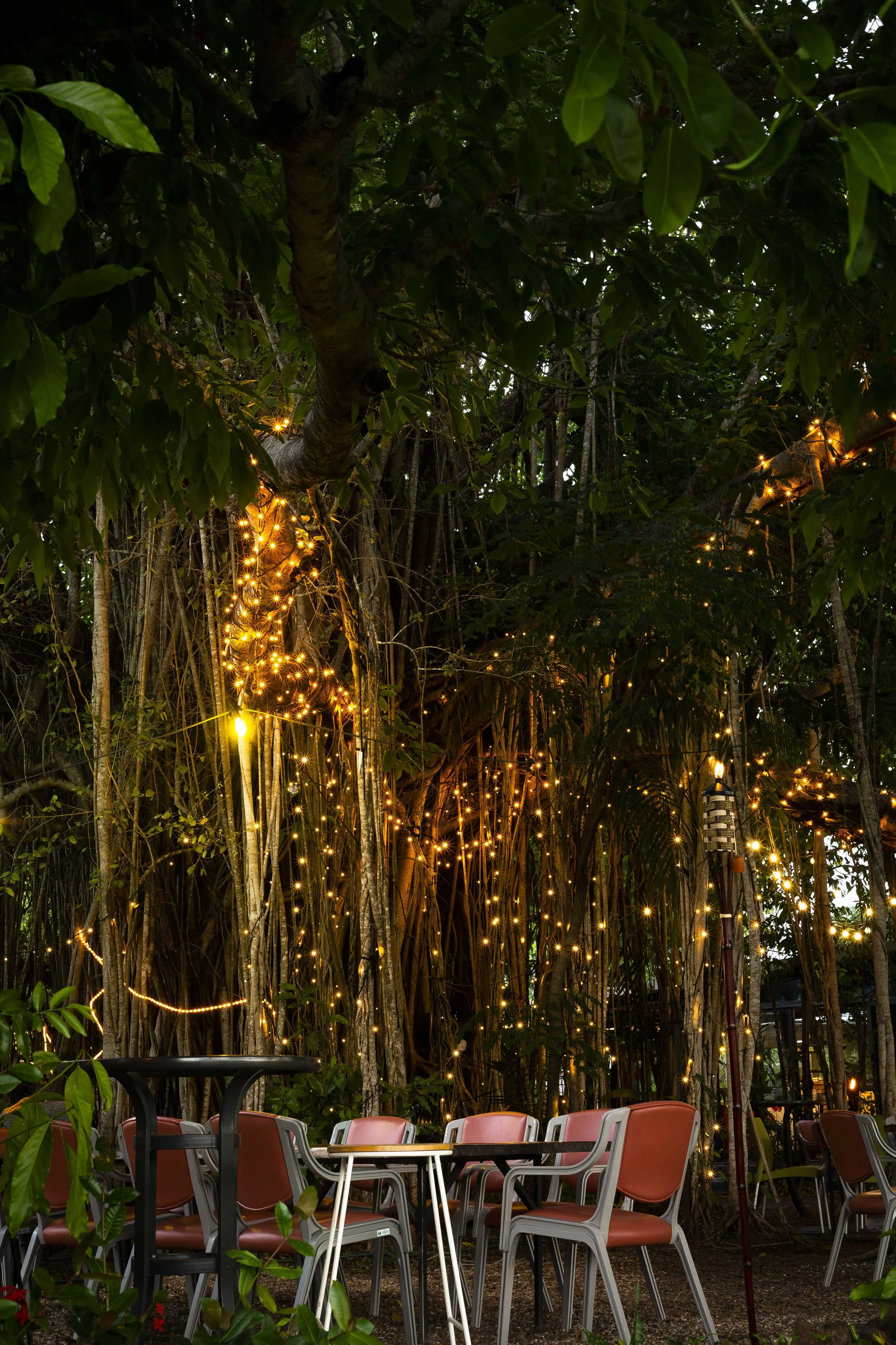 Things to do — Banyan Tree Resort