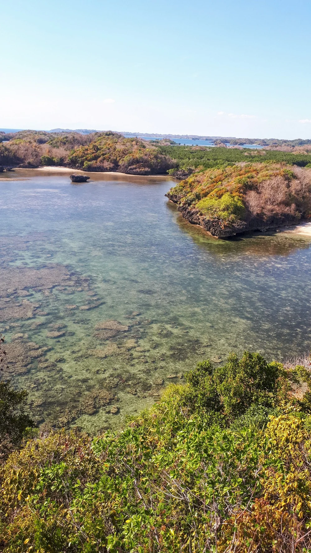 The Long-Form and Short of It